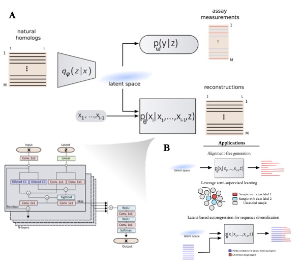 Machine learning-guided directed evolution - Ferguson Lab Machine learning-guided directed evolution - Ferguson Lab